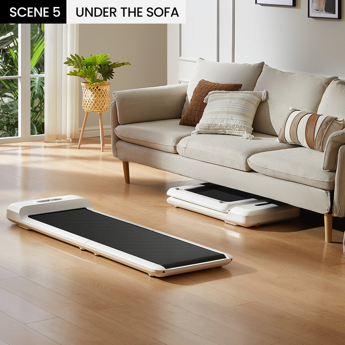 WalkingPad C2 Mini Foldable Walking Treadmill — Recovery For Athletes