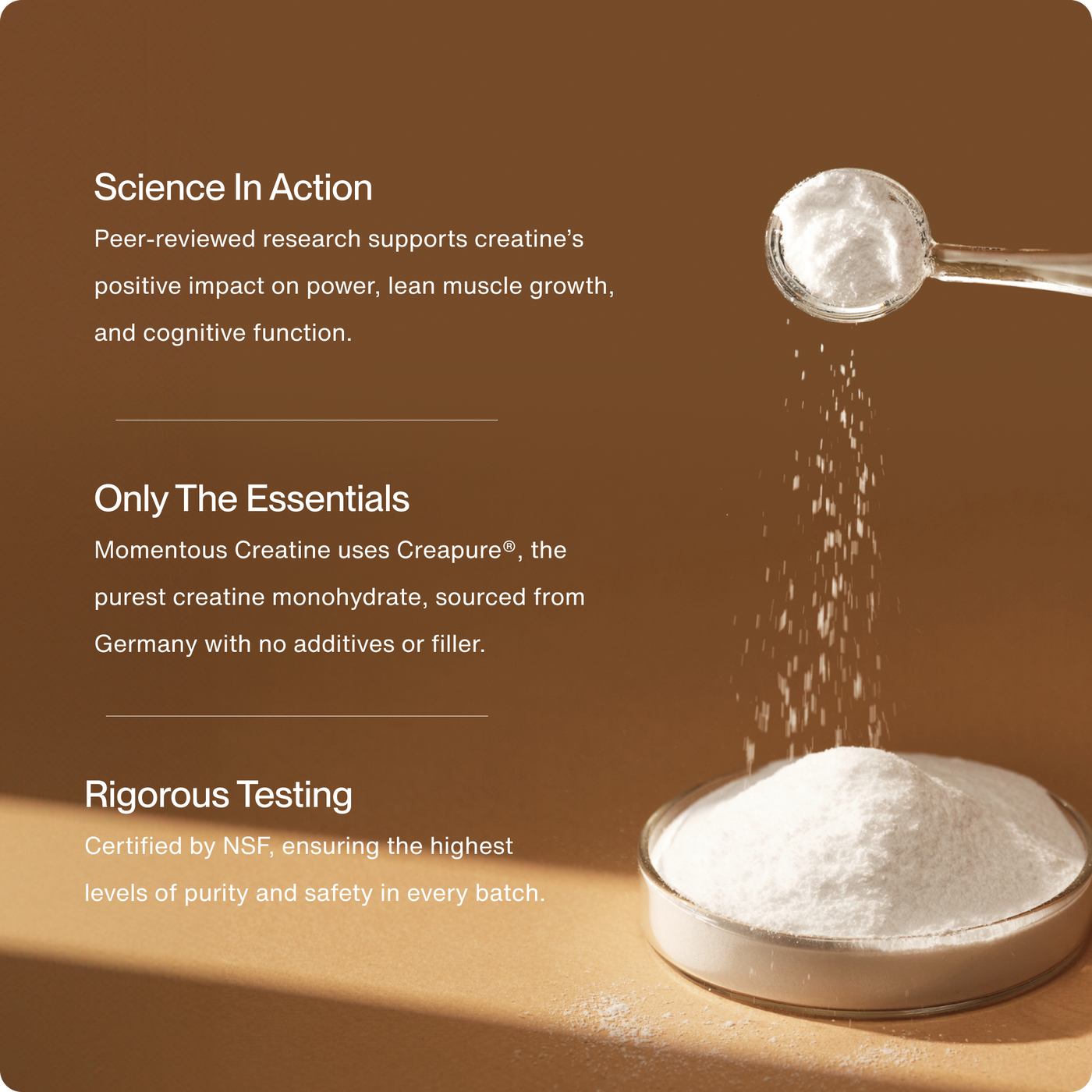 Momentous Creatine — Recovery For Athletes